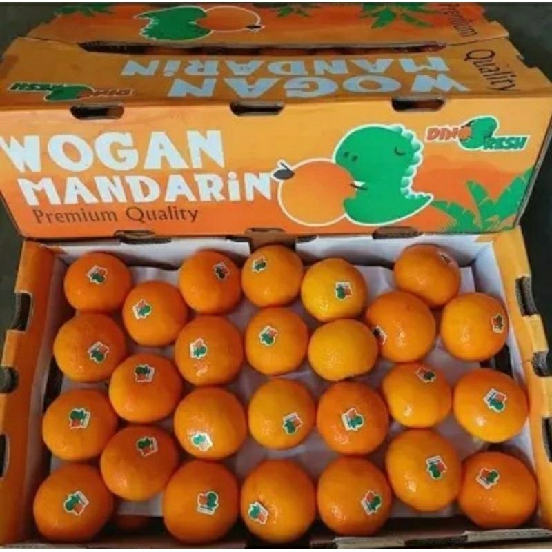 Jual jeruk wogan mandarin dus | Shopee Indonesia
