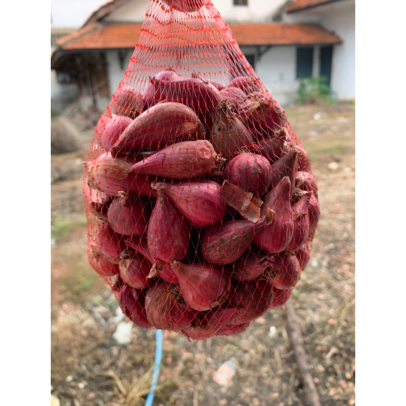 Jual Bawang Merah Brebes Ukuran Besar 1000gr/1Kg | Shopee Indonesia