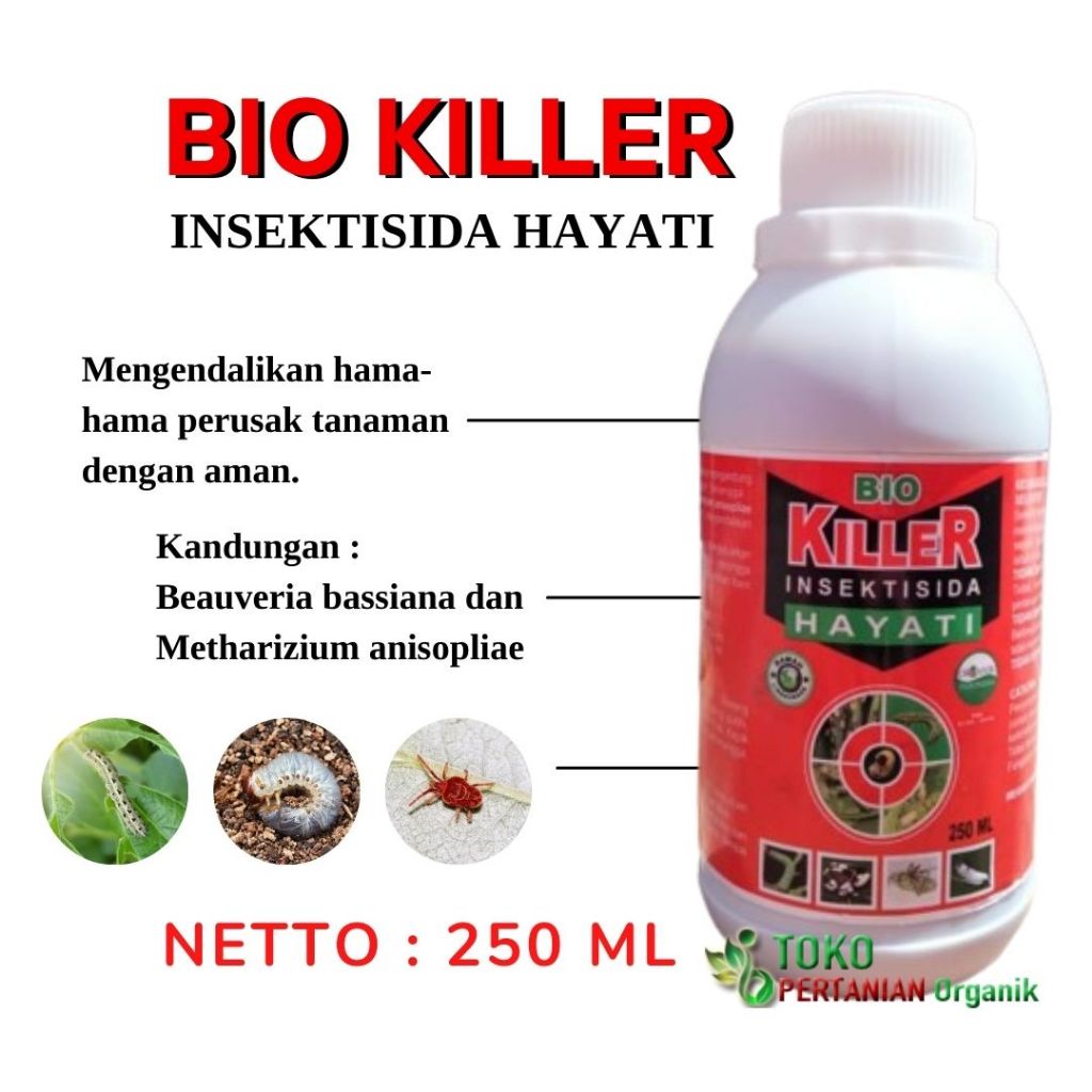 Jual Pembasmi hama cair untuk tanaman jagung, BIO KILLER atasi penyakit ...