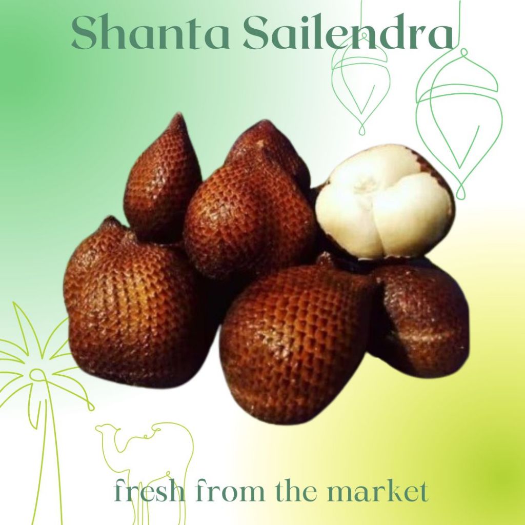 Jual SALAK GULA PASIR BALI 1 KG | Shopee Indonesia