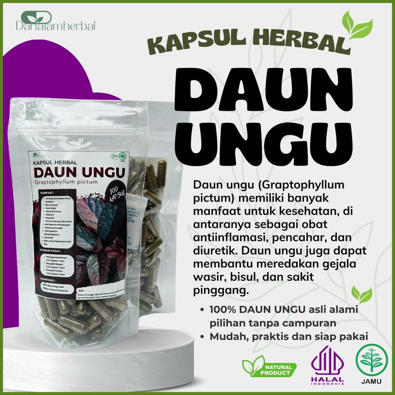 Jual Kapsul Herbal DAUN UNGU isi 100 kapsul | Kapsul Sejuta manfaat asli 100% Daun Ungu Alami ...