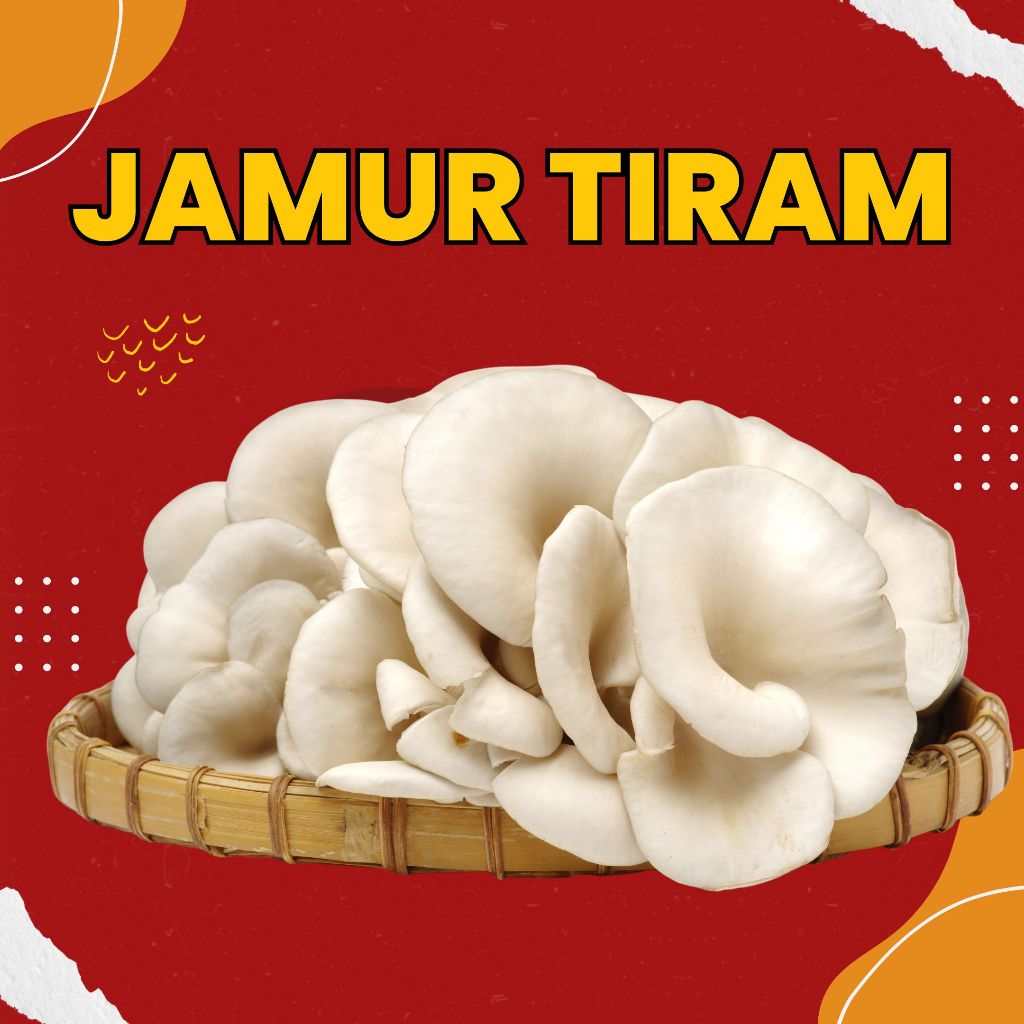 Jual JAMUR TIRAM 1 KG / SUUNG / 1 KG | Shopee Indonesia