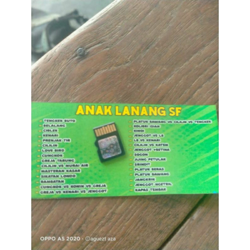 Jual memori isian burung | Shopee Indonesia