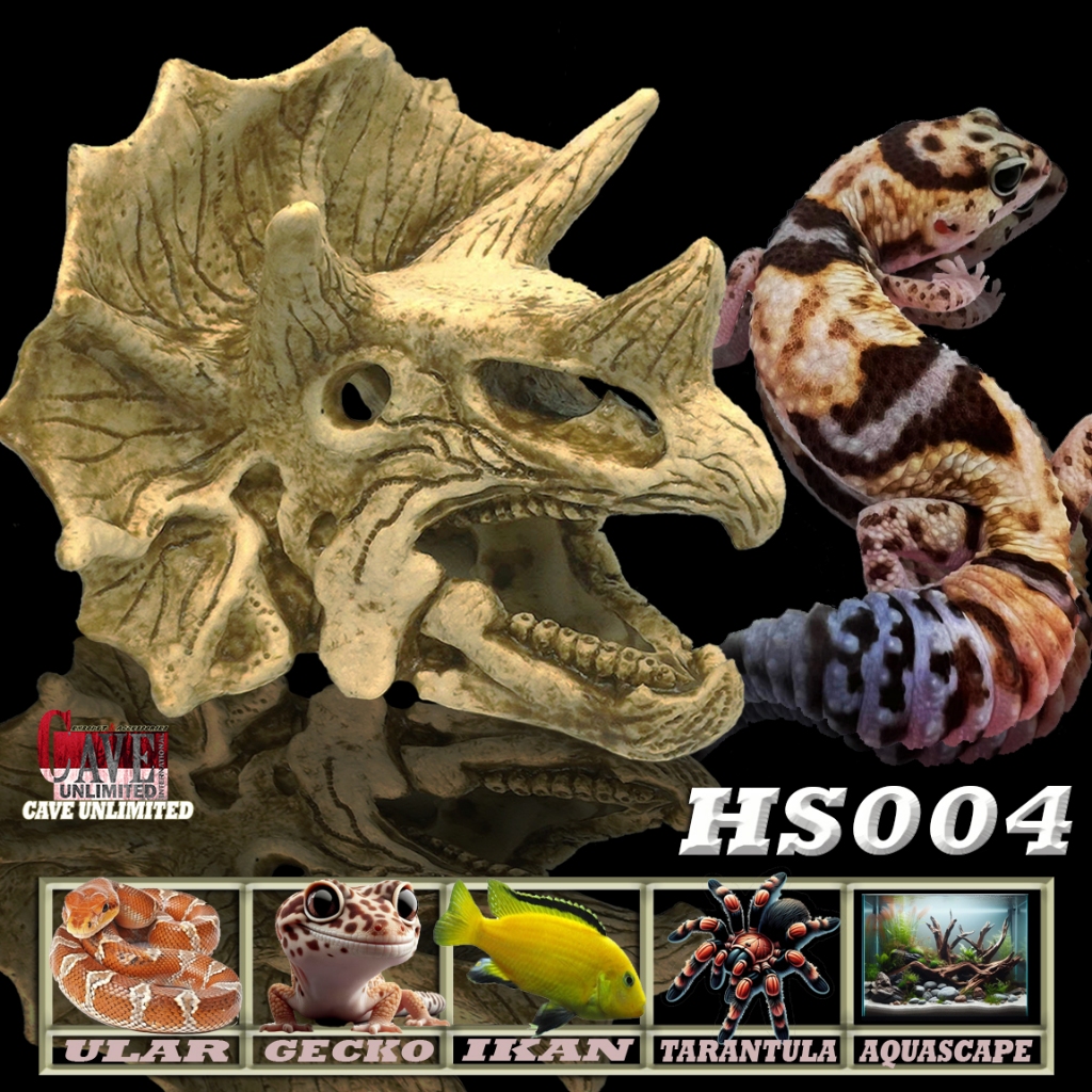 Jual HS004 HIDING SKULL TENGKORAK KERANGKA SKELETON FOSIL HIASAN ...