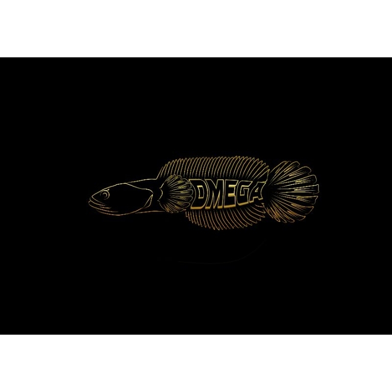 Jual sticker channa | Shopee Indonesia