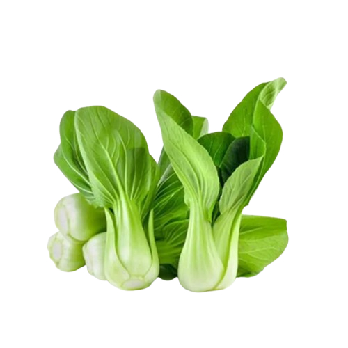 Jual PAKCOY SEGAR/COYSAM/SAWI SENDOK/ BOK CHOY/ PAK CHOY 1KG | Shopee ...