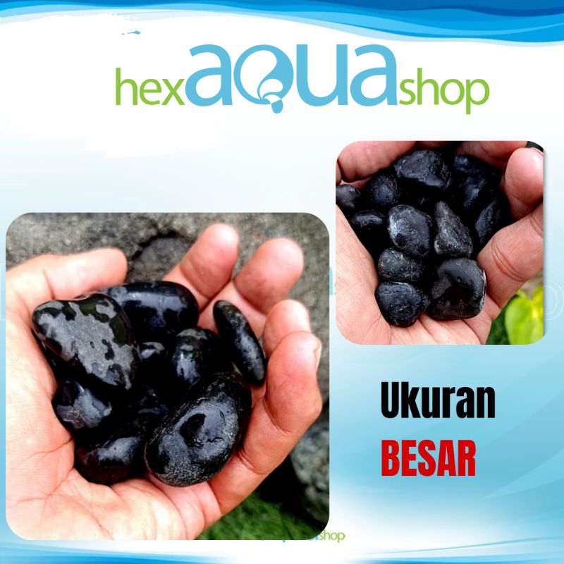 Jual Batu koral Alor sikat flores Hitam substrat akuarium 1KG | Shopee ...