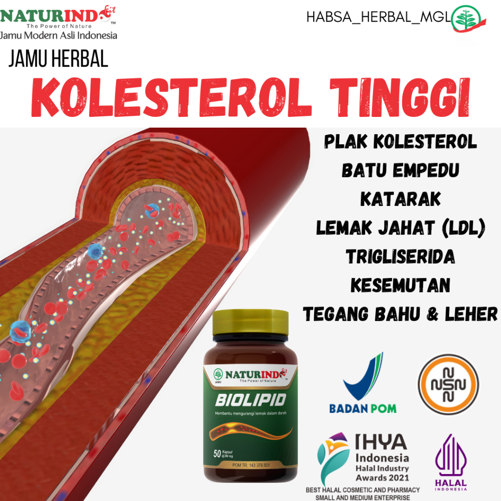 Jual Obat Kolesterol Tinggi Katarak Lemak Darah Jahat Trigliserida ...