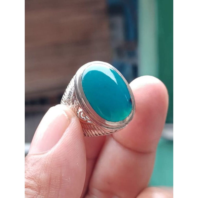 Jual Bacan Doko majiko | Shopee Indonesia