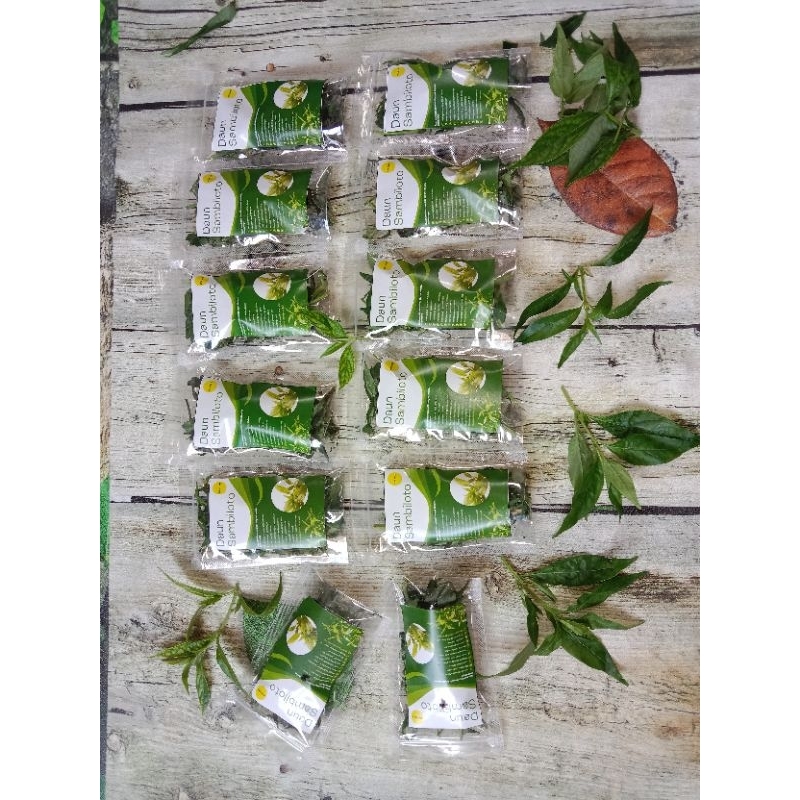 Jual Daun sambiloto Beli 5 gratis 1 pes beli 10 grtis 2 pes | Shopee ...