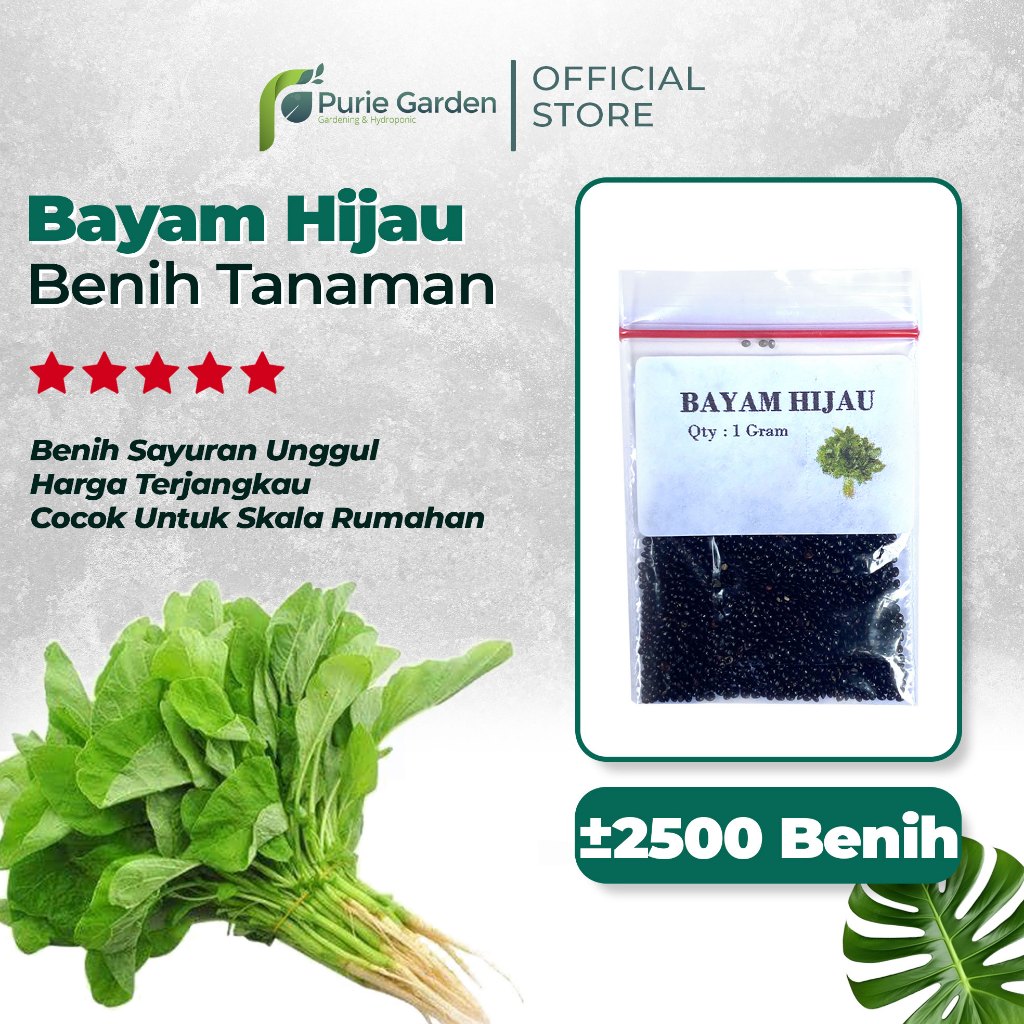 Jual Benih Bibit Bayam Hijau 2500+ Benih Purie Garden | Shopee Indonesia
