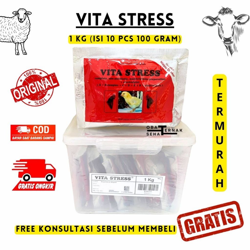 Jual VITA STRESS 100 GRAM (1 BOX ISI 10 SCT) - MEDION - Vitamin Anti ...