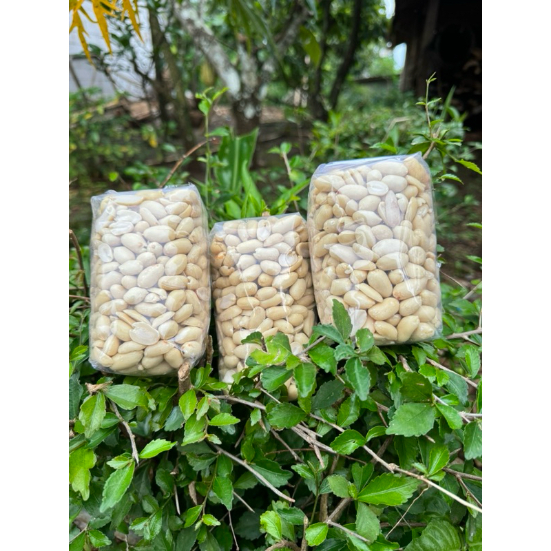 Jual Paket 3 pack kacang tanah kupas premium berat total 1050gram ...