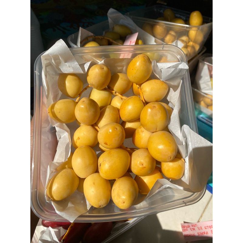 Jual PO KURMA MUDA BARHEE FRESH NO FROZEN | Shopee Indonesia