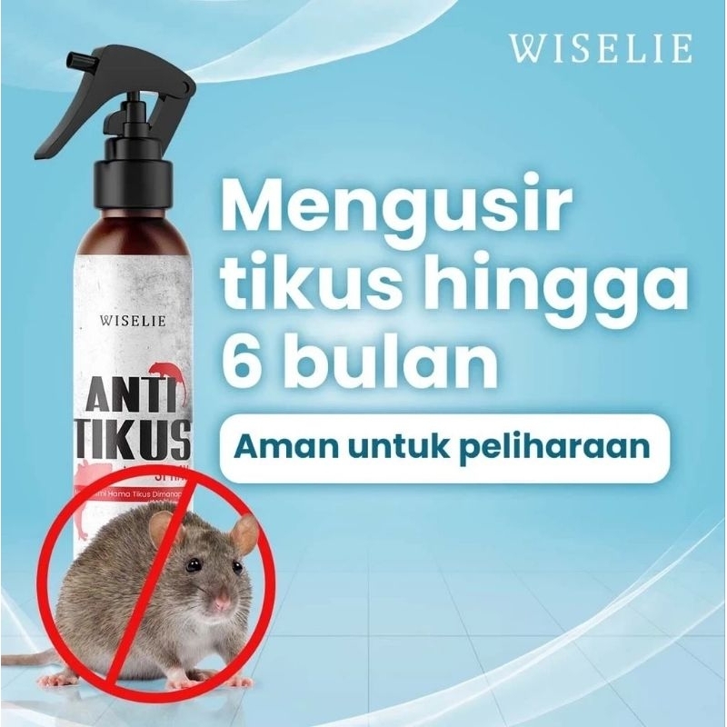 Jual Wiselie Anti Tikus 250 ML Mengusirnya Tikus Hingga 6 Bulan ...