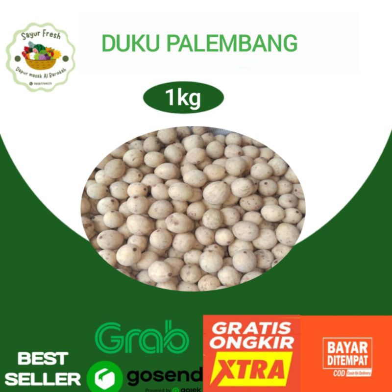Jual DUKU PALEMBANG | Shopee Indonesia