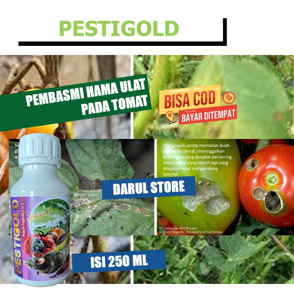 Jual Pestisida Hama PestiGold Mengatasi Ulat Tomat Paling Laris, Pupuk ...