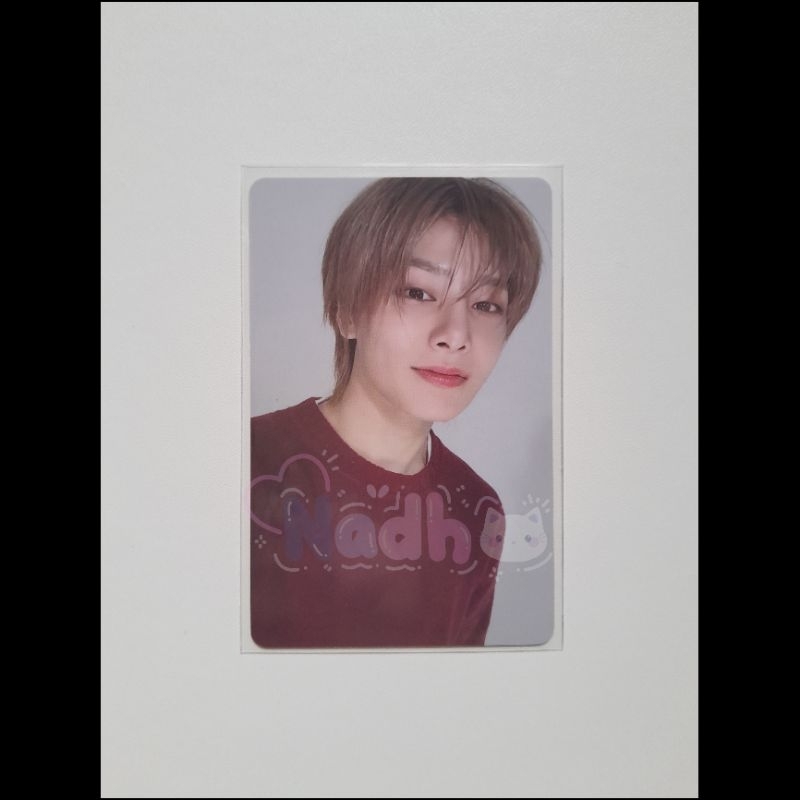 Jual Photocard album rpc nemo ATE I.N Stray Kids SKZ | Shopee Indonesia