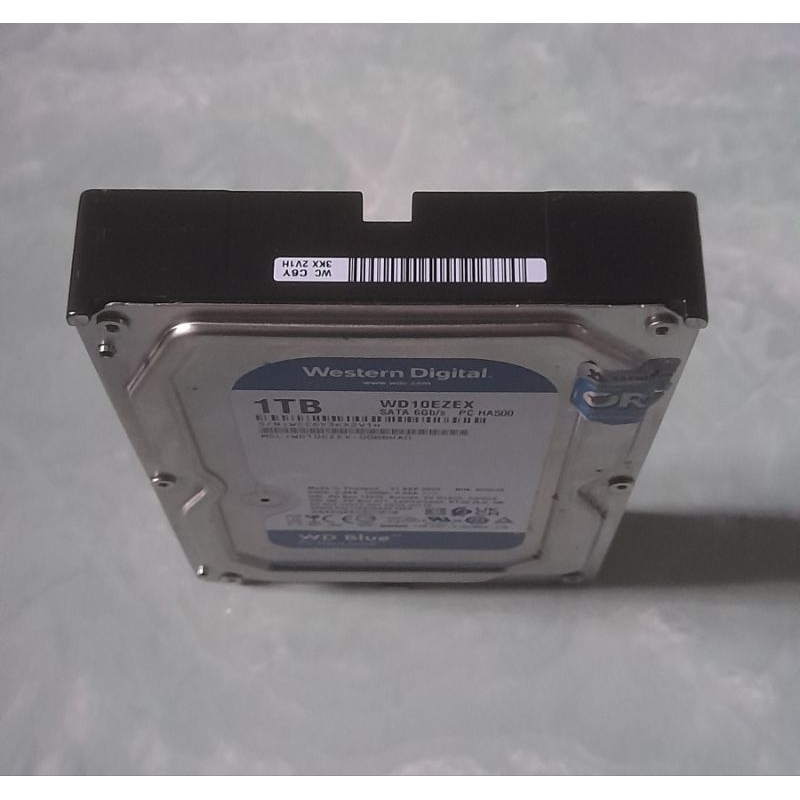 Jual HDD-WD BLUE (1TB ) | Shopee Indonesia