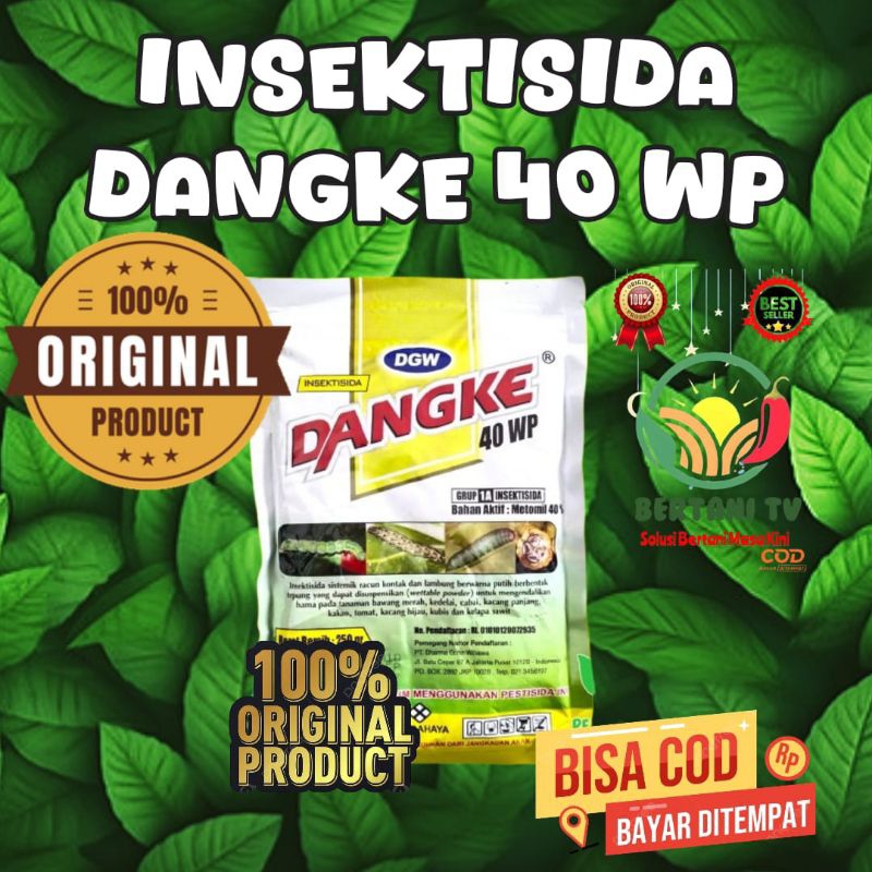 Jual Insectisida Danke 100 gr, Dangke 40 WP Insektisida sistemik kontak ...