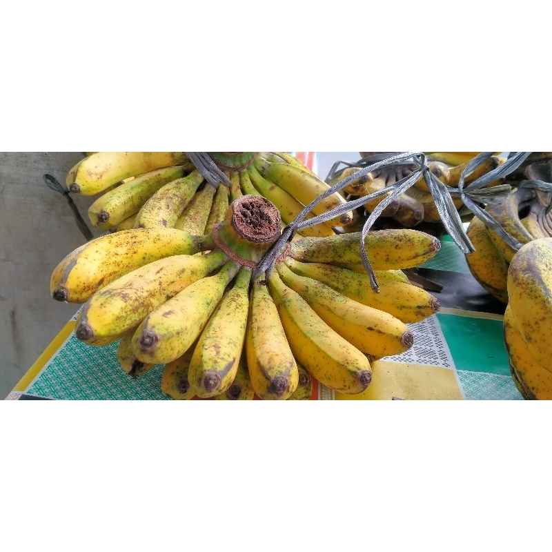 Jual Pisang Barangan Pisang Barangan Manis Pisang Barangan kuning ...