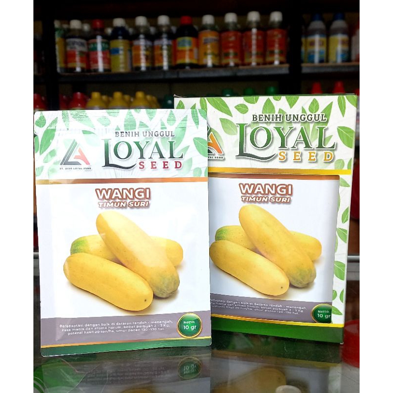 Jual Benih Bibit Timun Suri Kemasan 10 gr Benih Unggul Loyal Seed | Shopee Indonesia