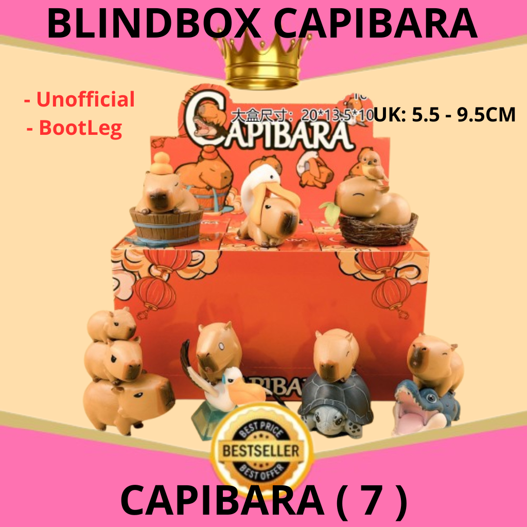 Jual BLIND BOX ANIMEE CAPIBARA CHARACTER ACTION FIGURE ANIME CAPI BARA ...