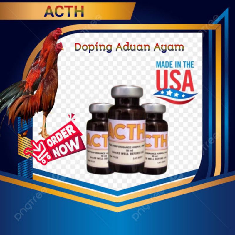 Jual Rooster Viper Super Power Energi Doping Stamina Ayam Petarung VIP ...