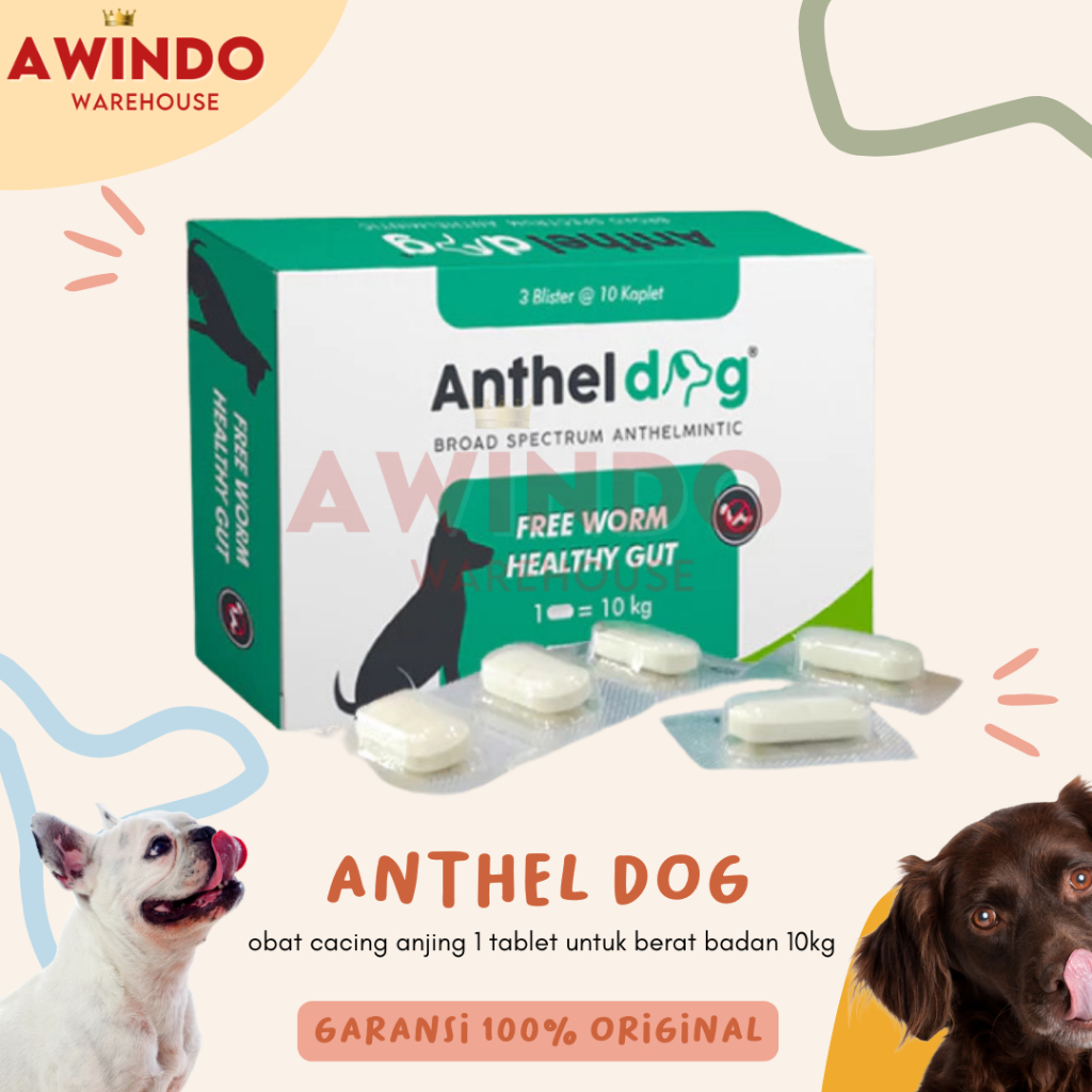 Jual ANTHEL DOG 1 TABLET - Obat Cacing Anjing Dog Worm Kalbe Animal ...