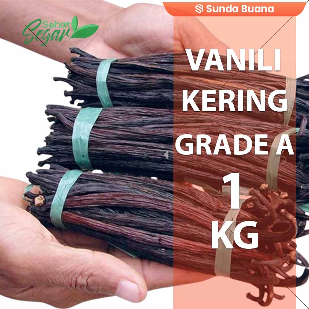 Jual Buah Vanili vanilla bean Kering 1 kg rempah dan herbal alami ...
