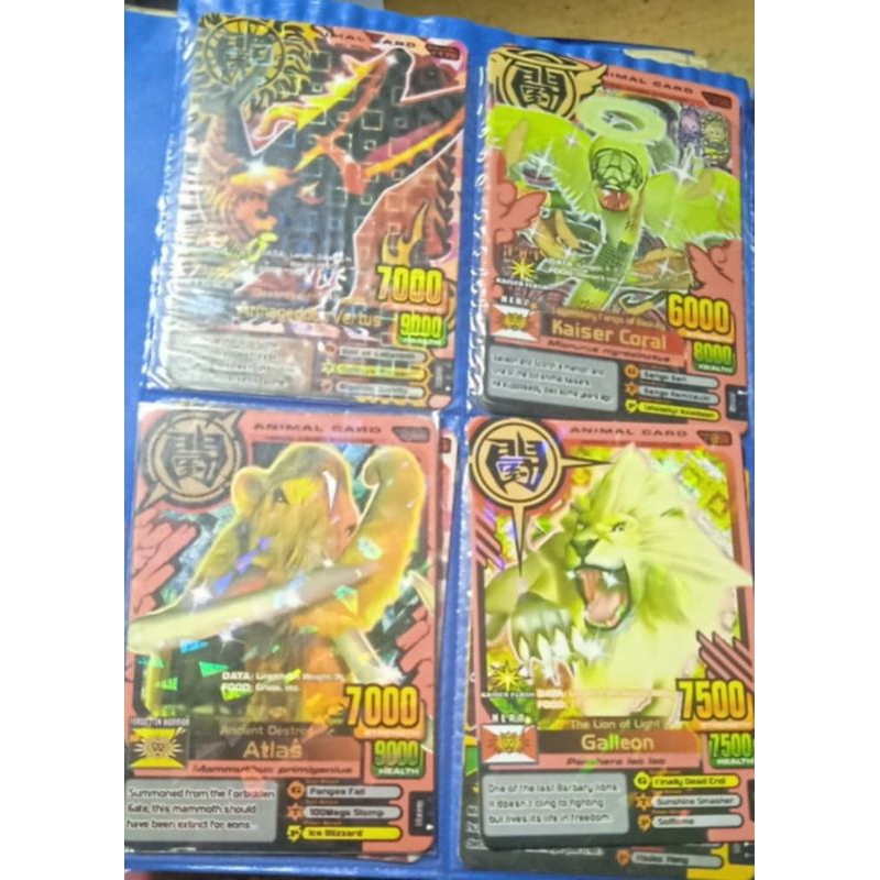Jual Kartu Animal Kaiser Atlas Dan Galleon | Shopee Indonesia