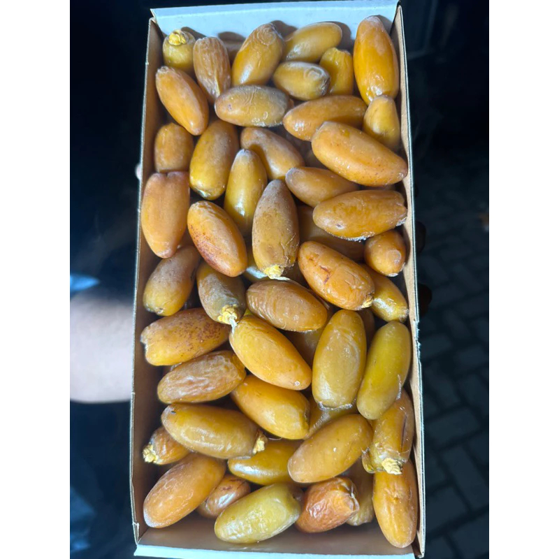 Jual Promo Kurma Ruthob Libya 1KG Fresh Kurma Muda (KURMA FROZEN ...