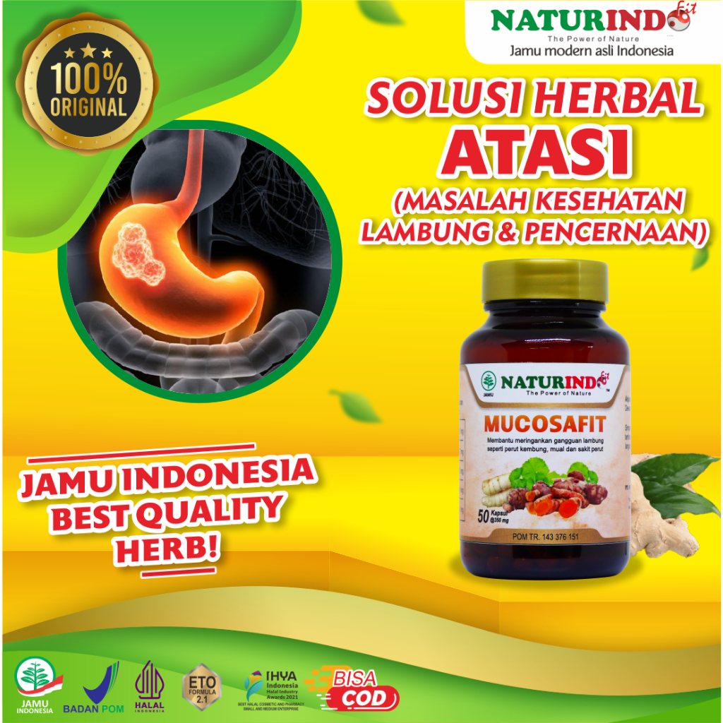Jual Obat Herbal Asam Lambung Gerd Maag Magh Sakit Radang Lambung ...