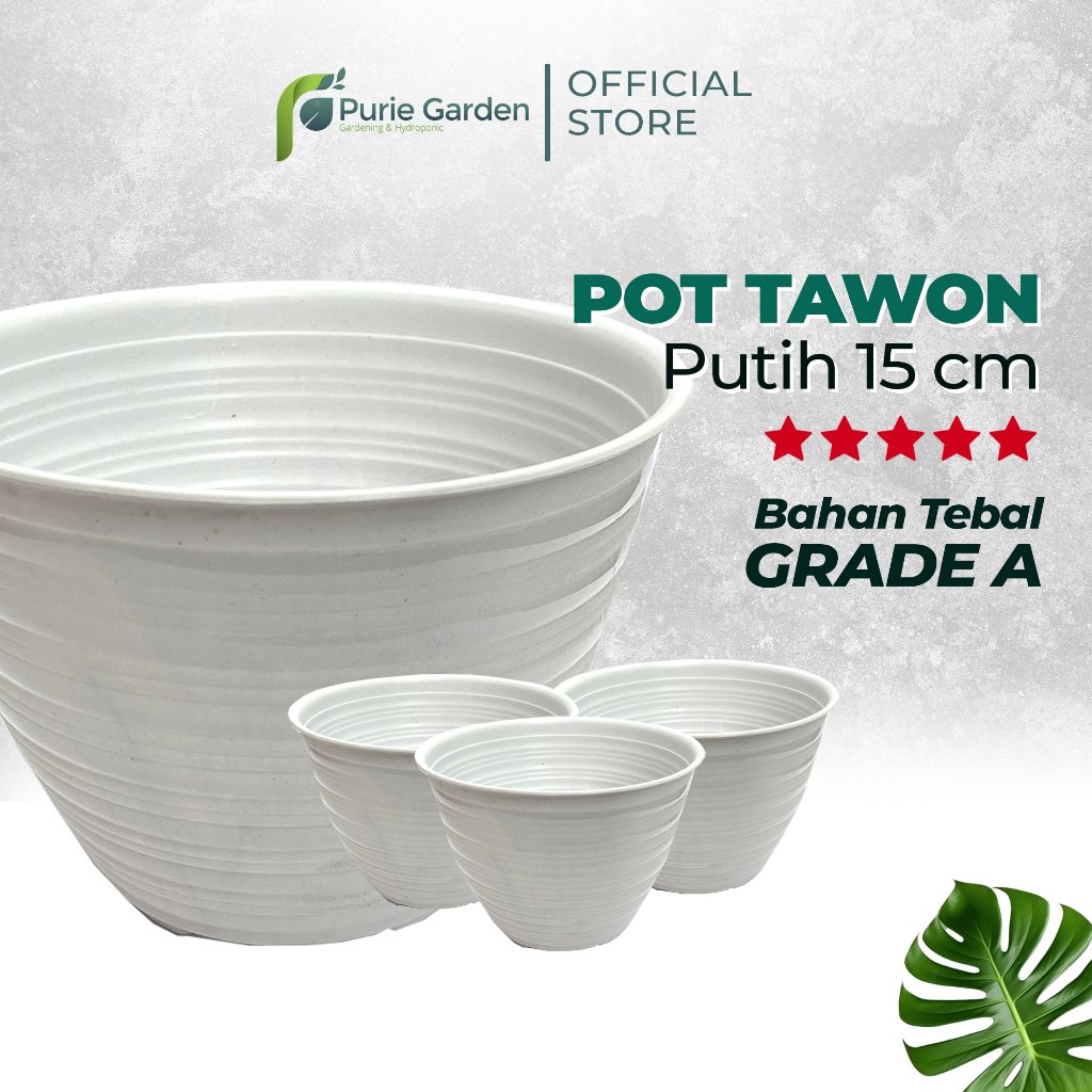 Jual Pot Tanaman Pot Tawon Tanaman Hias SA 15 Kumbang Purie Garden ...