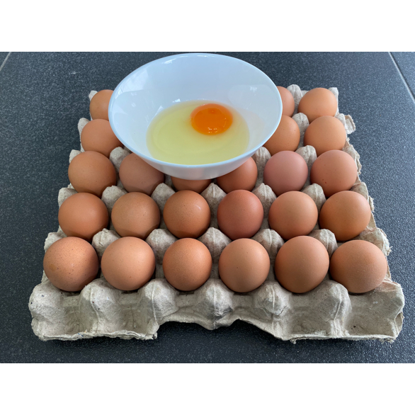 Jual Telur Omega 3 Paket Hemat Nabati per 1 papan 30 butir Segar dari ...