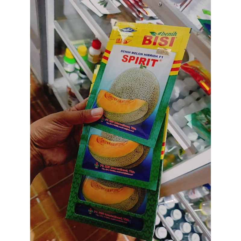 Jual Benih Bibit Melon Spirit F1, Tipe jumbo (Tahan Cuaca Ekstrim hujan ...