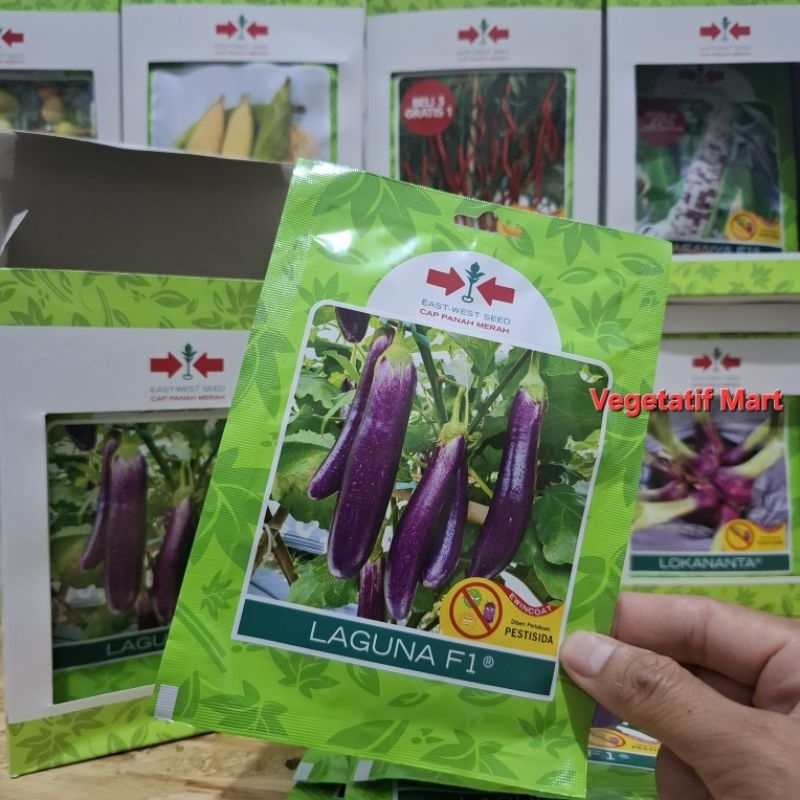 Jual Benih sayur terong ungu LAGUNA F1 isi 400 butir Cap Panah Merah | Shopee Indonesia