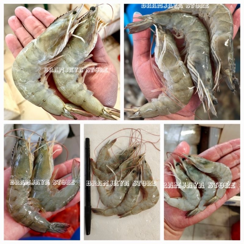 Jual PAKET UDANG FRESH @1KG (BisaDikupaskan) | Shopee Indonesia