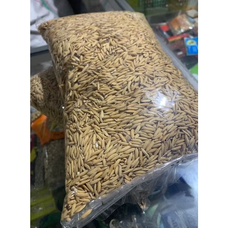 Jual Gabah Kering Beras Putih 1kg | Shopee Indonesia