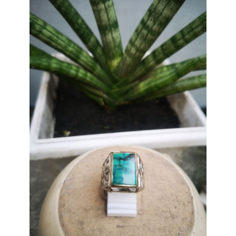 Jual Pirus Hubai warna biru cerah | Shopee Indonesia
