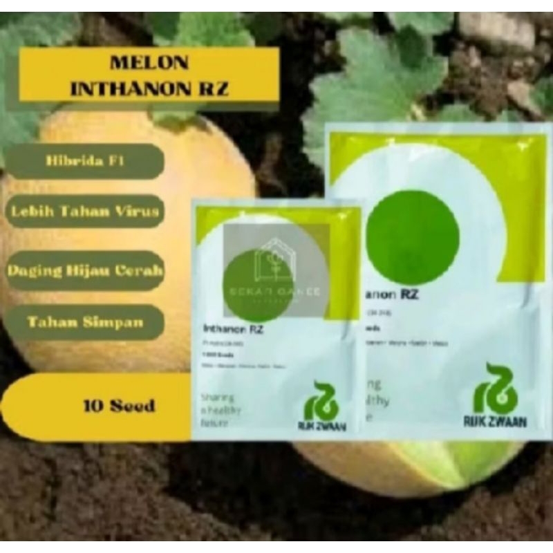 Jual 10 Biji Benih Melon Inthanon Rz F1 Original | Shopee Indonesia