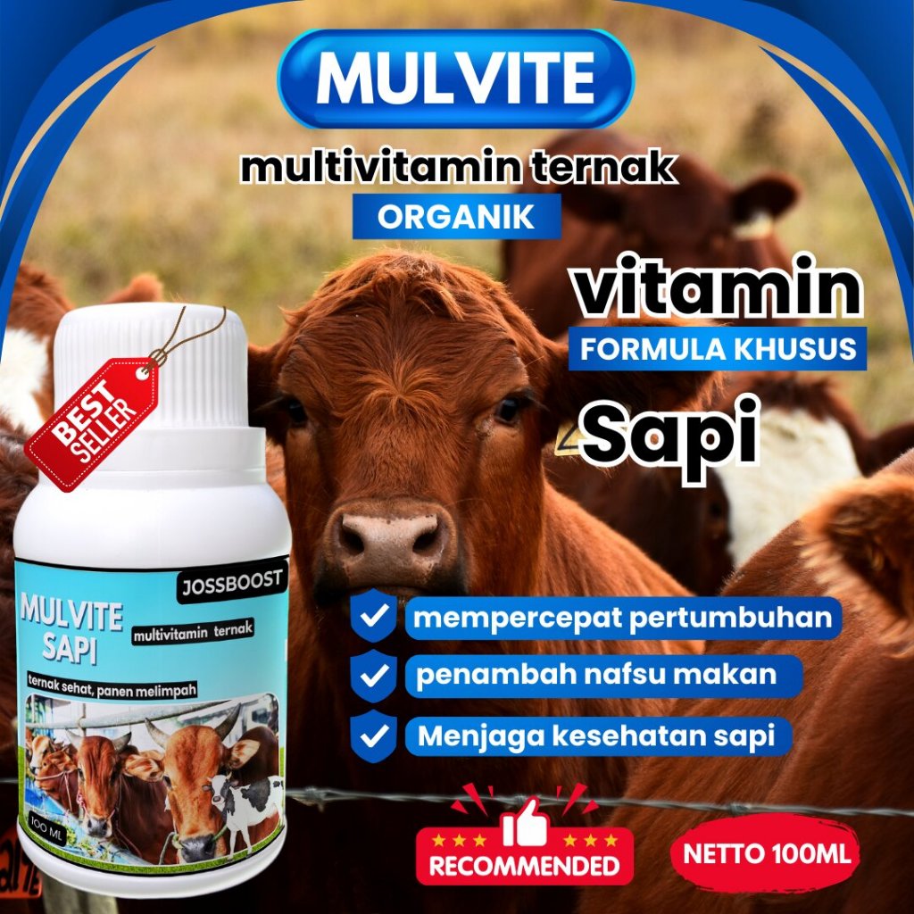 Jual MULVITE Vitamin Probiotik Khusus Sapi, Vitamin Ternak Organik ...
