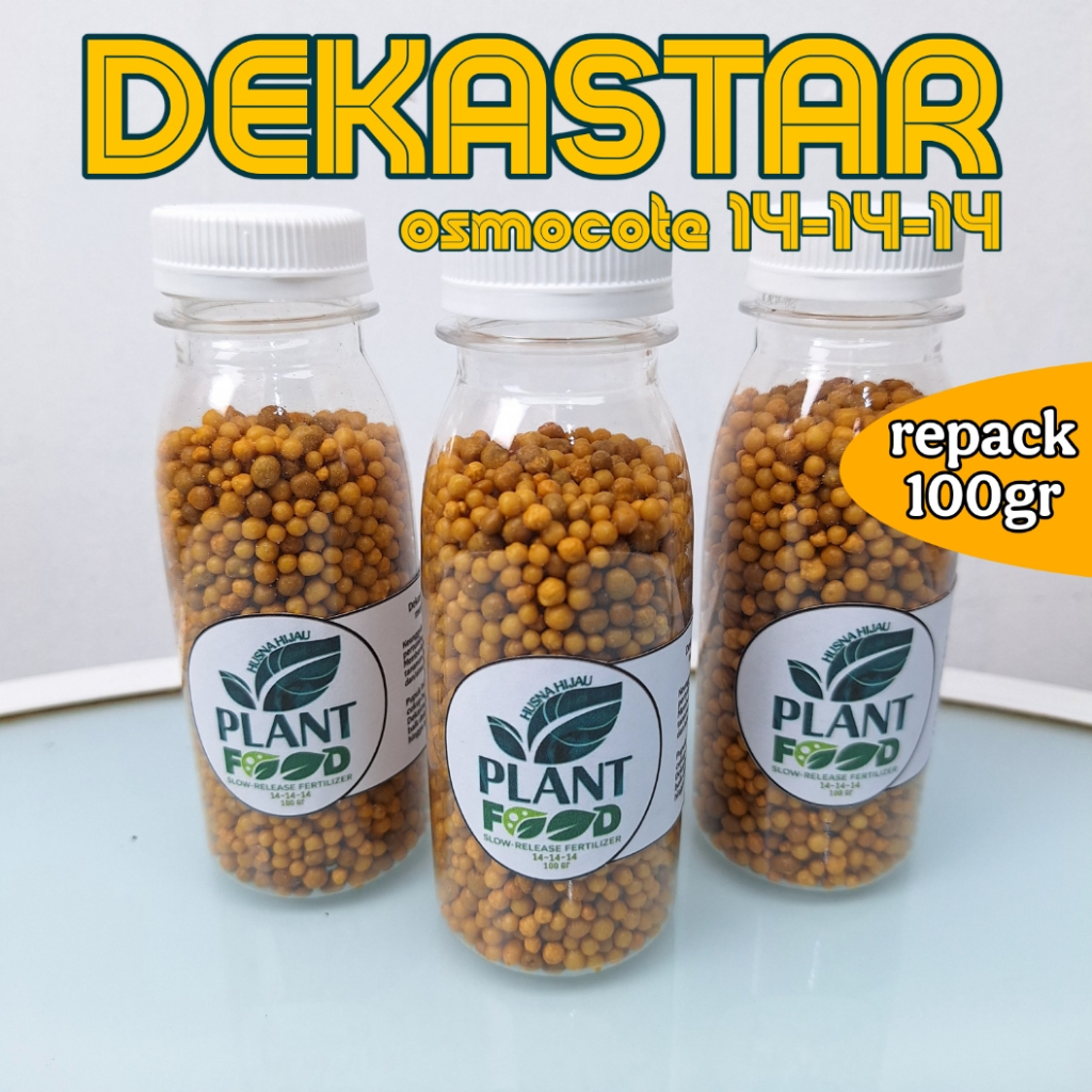 Jual Husna hijau, Plant food DEKASTAR osmocote slow release 14-14-14 ...