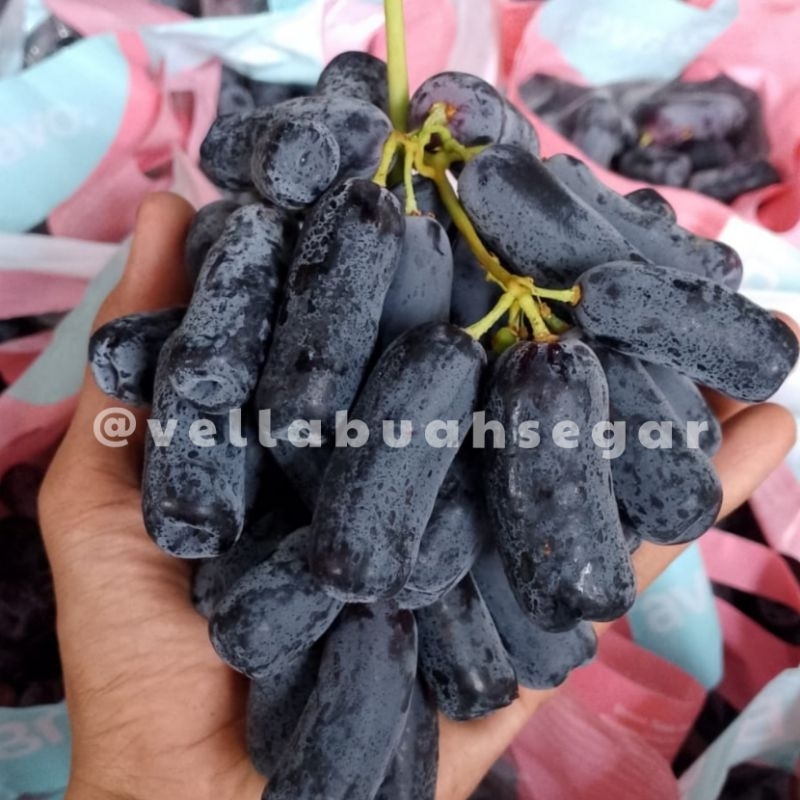 Jual Anggur Jari Terlengkap & Harga Terbaru Mei 2026 | Shopee Indonesia