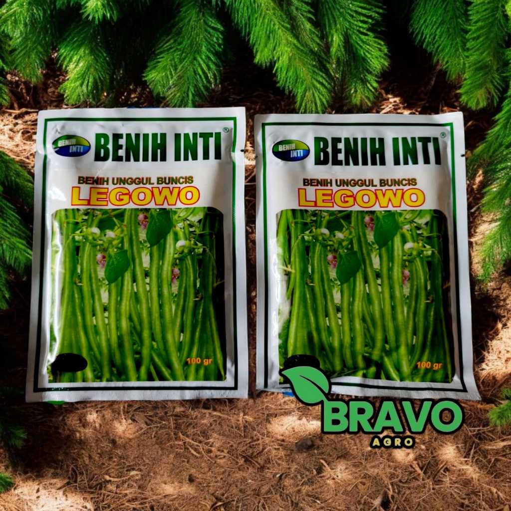Jual BENIH UNGGUL BUNCIS LEGOWO 100 GRAM - BENIH INTI 100% ORIGINAL ...