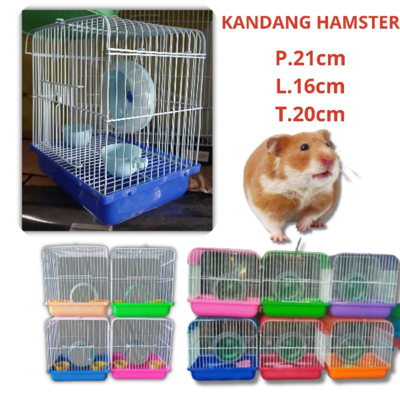 Jual Kandang marmut Kandang Hamster Unik Dan Lucu | Shopee Indonesia