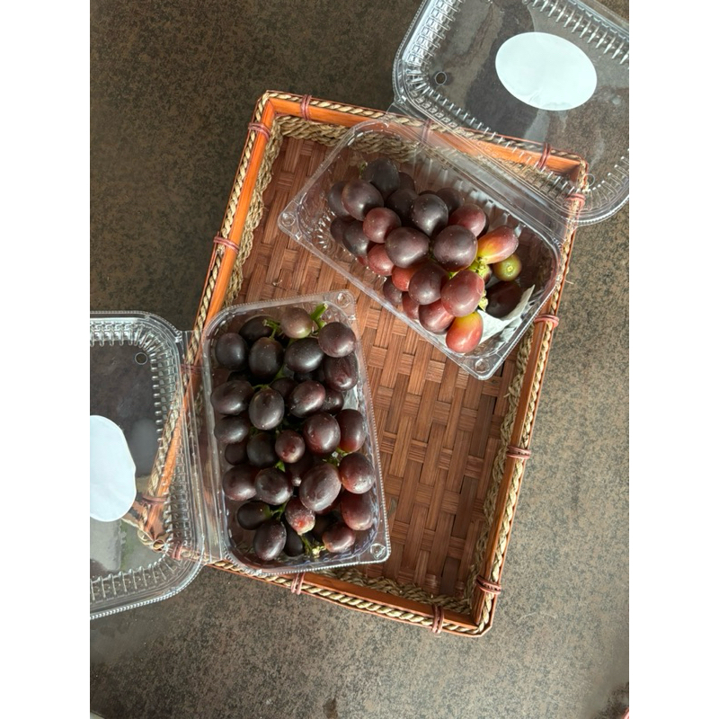 Jual DUTA BUAH SBY Anggur Muscat Merah - (500 g) | Shopee Indonesia