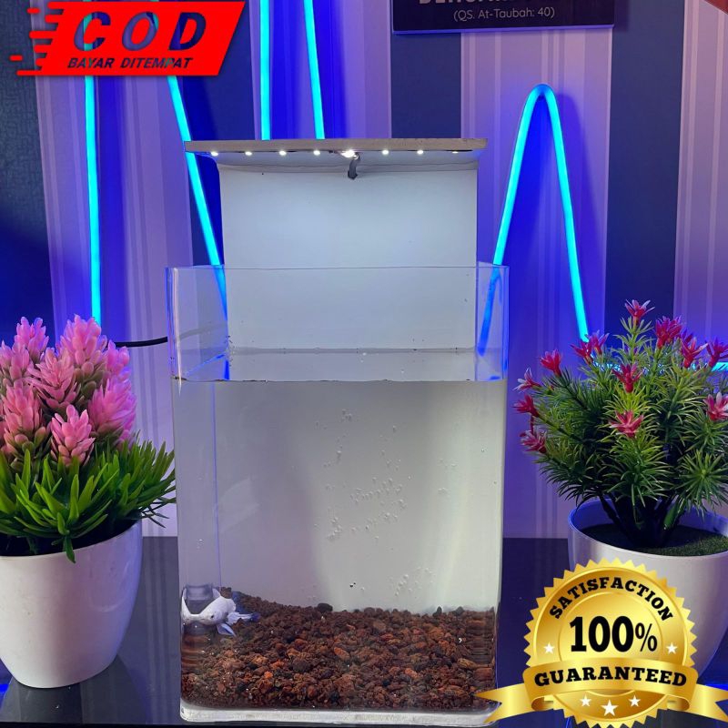 Jual Soliter Ikan Cupang Fullset Aesthetic | Sudah Dilengkapi Lampu LED ...