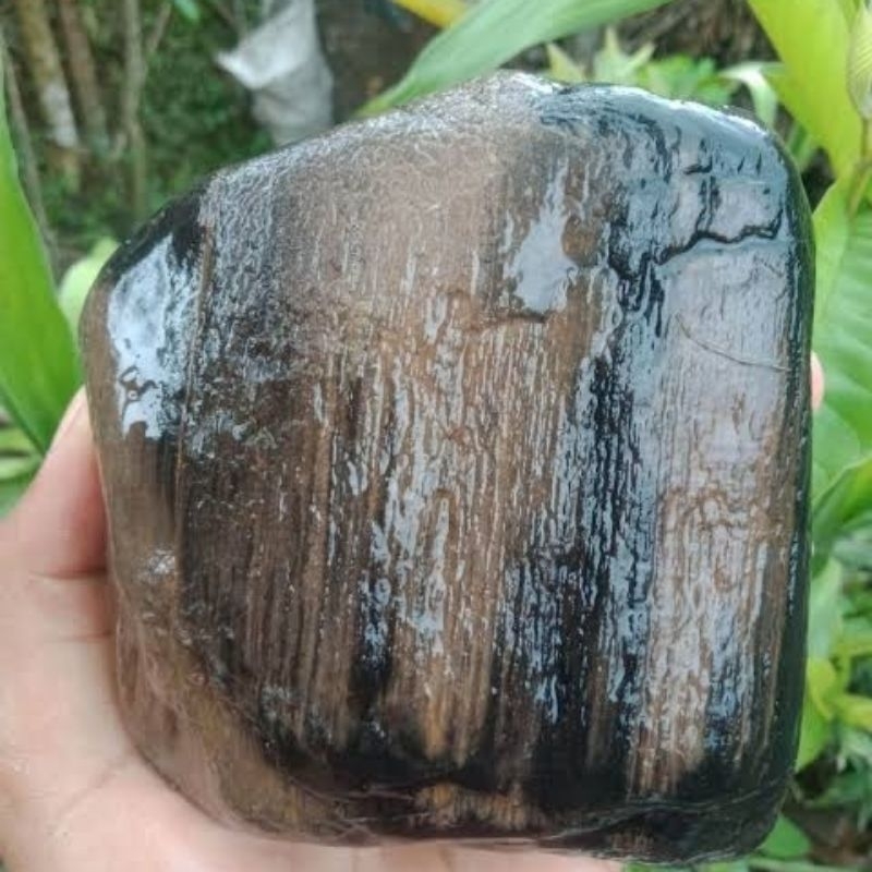 Jual batu fosil kayu hitam batu aquascape aquarium batu taman isi 10kg ...