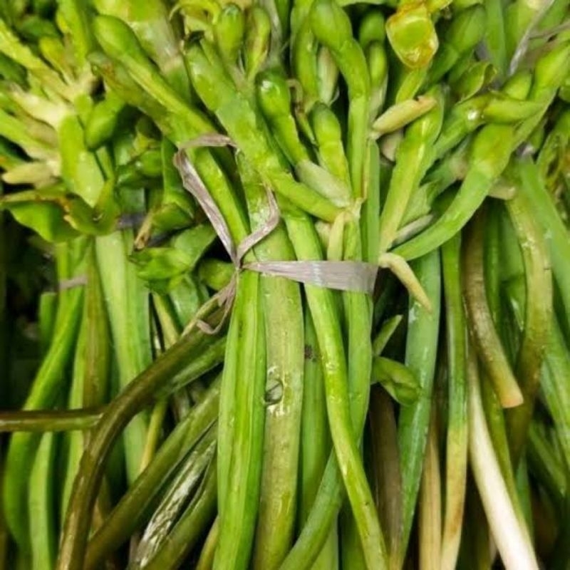 Jual Kembang / bunga/ batang genjer 1 ikat | Shopee Indonesia